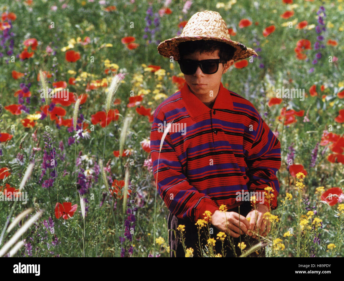 Majidi majid -Fotos und -Bildmaterial in hoher Auflösung – Alamy