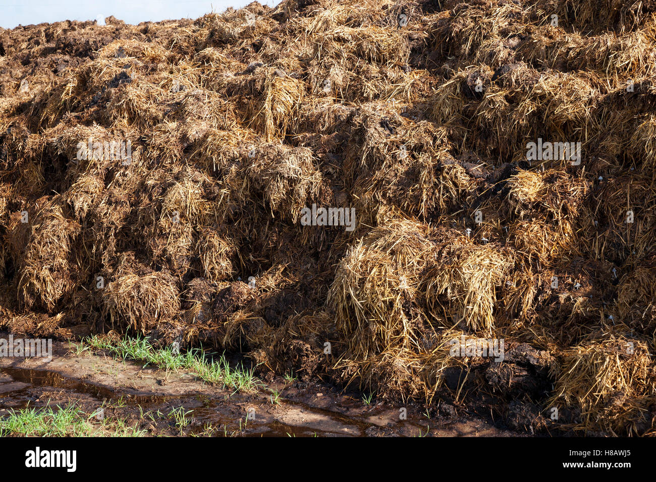 Misthaufen auf dem feld -Fotos und -Bildmaterial in hoher Auflösung – Alamy