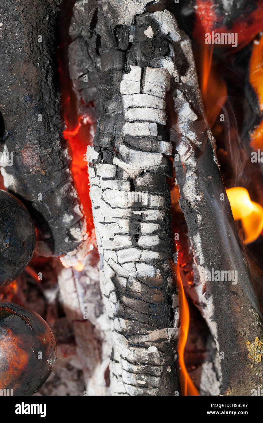 Rote kohlen -Fotos und -Bildmaterial in hoher Auflösung – Alamy