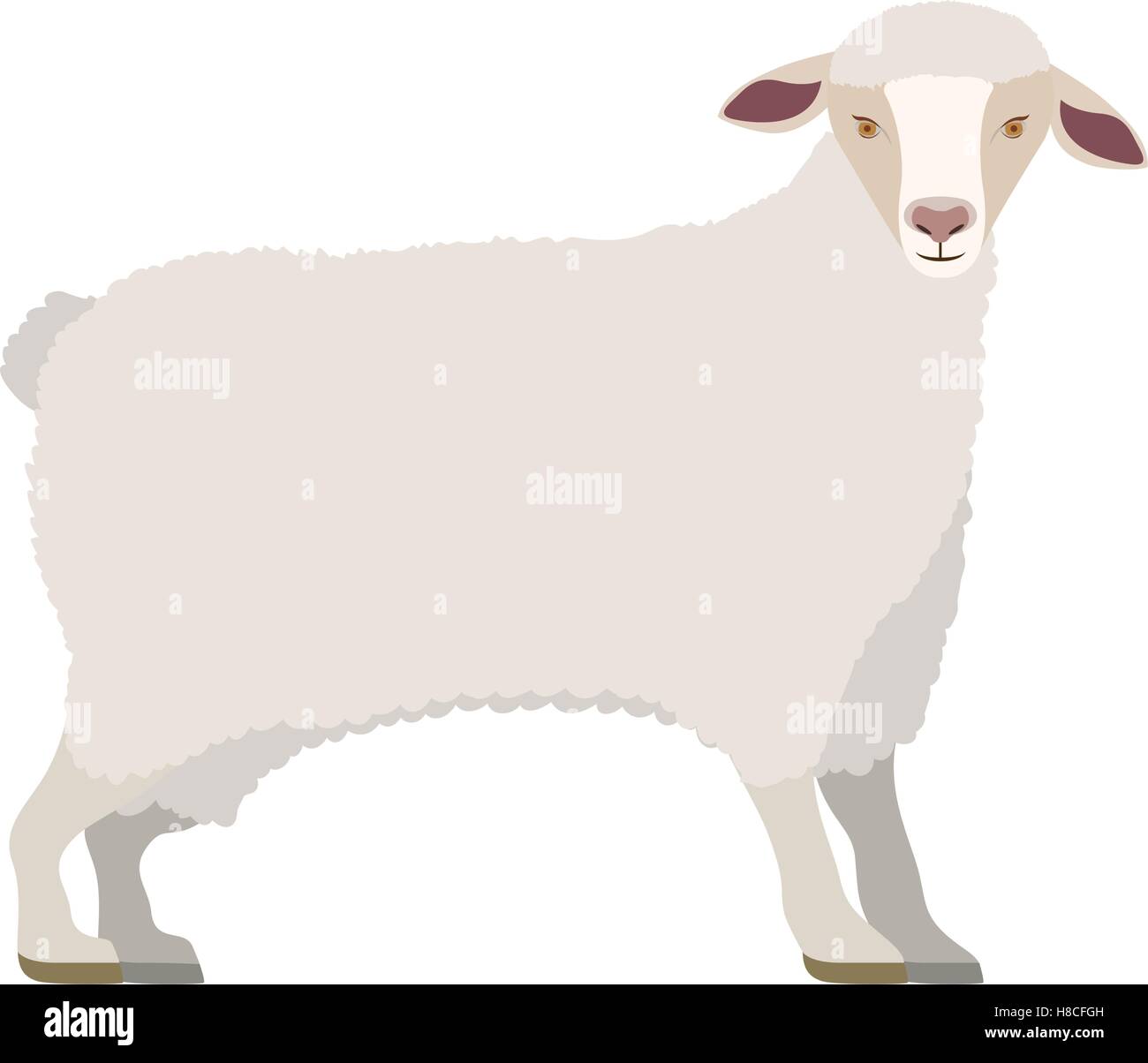 Schaf-Symbol. Cartoon und Natur Tierthema. Isoliert und gezeichneten ...
