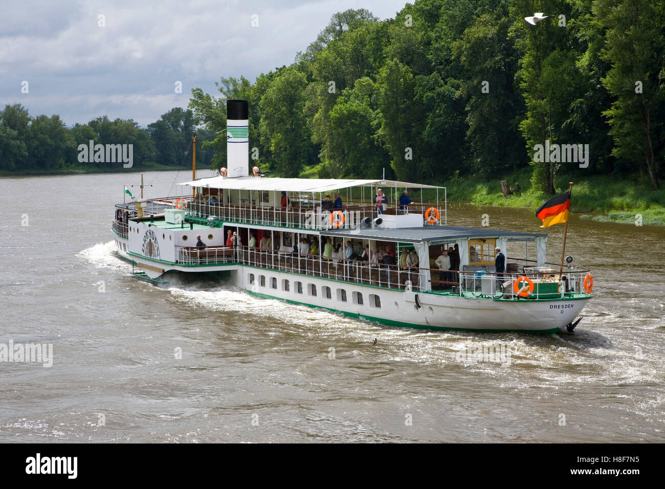 Raddampfer auf der elbe -Fotos und -Bildmaterial in hoher Auflösung – Alamy