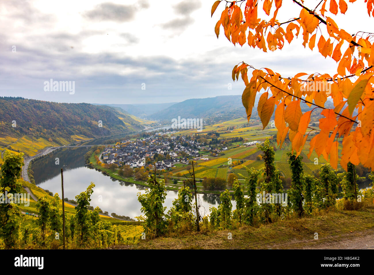 Mosel-Tal, nahe dem Dorf Kröv, Deutschland, Mosel, Flussschleife ...