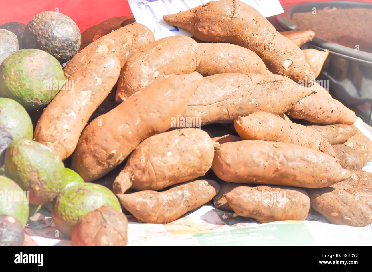 Yacon frucht -Fotos und -Bildmaterial in hoher Auflösung – Alamy