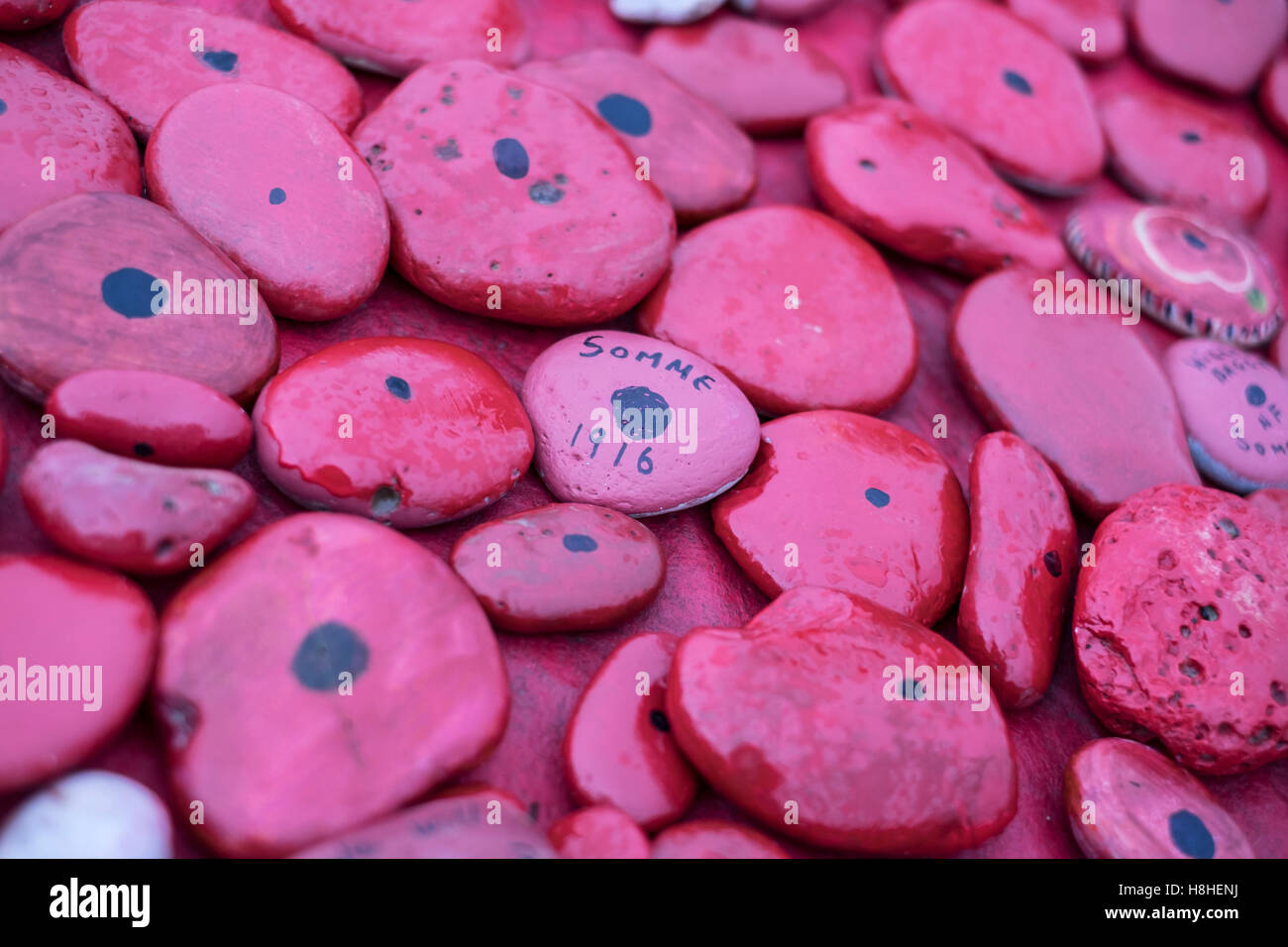 Stein Mohn als Teil ein Kriegerdenkmal zum Gedenken an den ersten ...