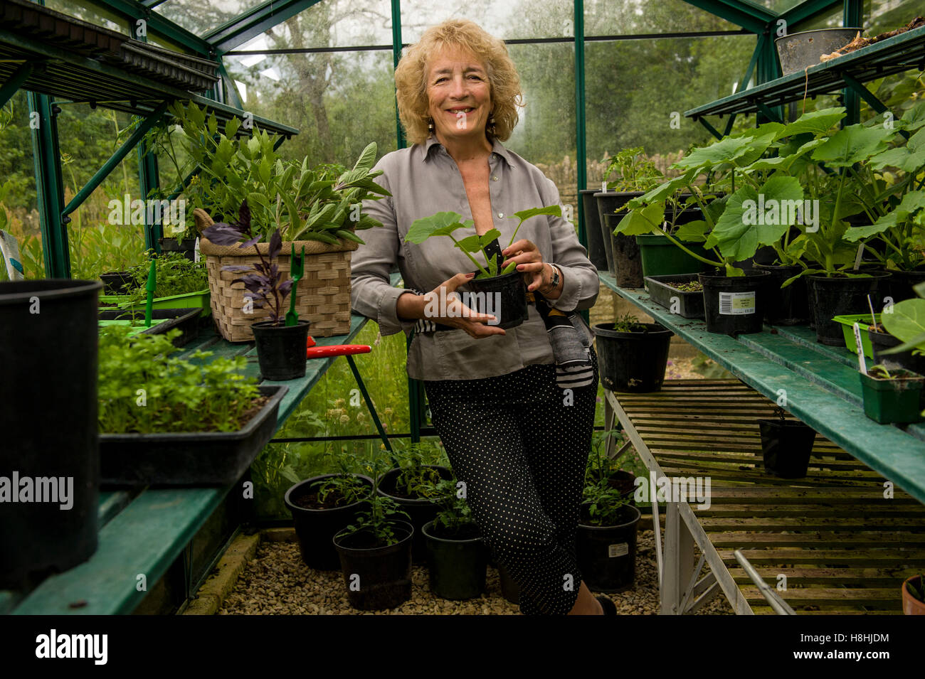 ehemalige TV-Moderatorin Judith Hann Kraut Garten Fyfield ...