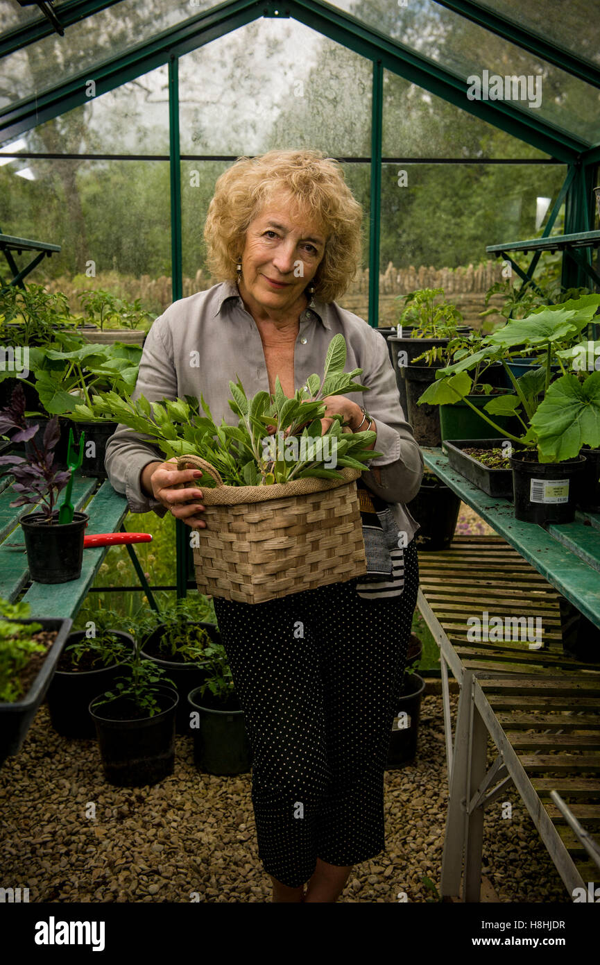 Judith hann ehemaliger tv -Fotos und -Bildmaterial in hoher Auflösung ...