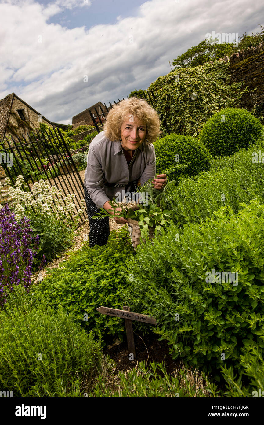 Judith hann ehemaliger tv -Fotos und -Bildmaterial in hoher Auflösung ...