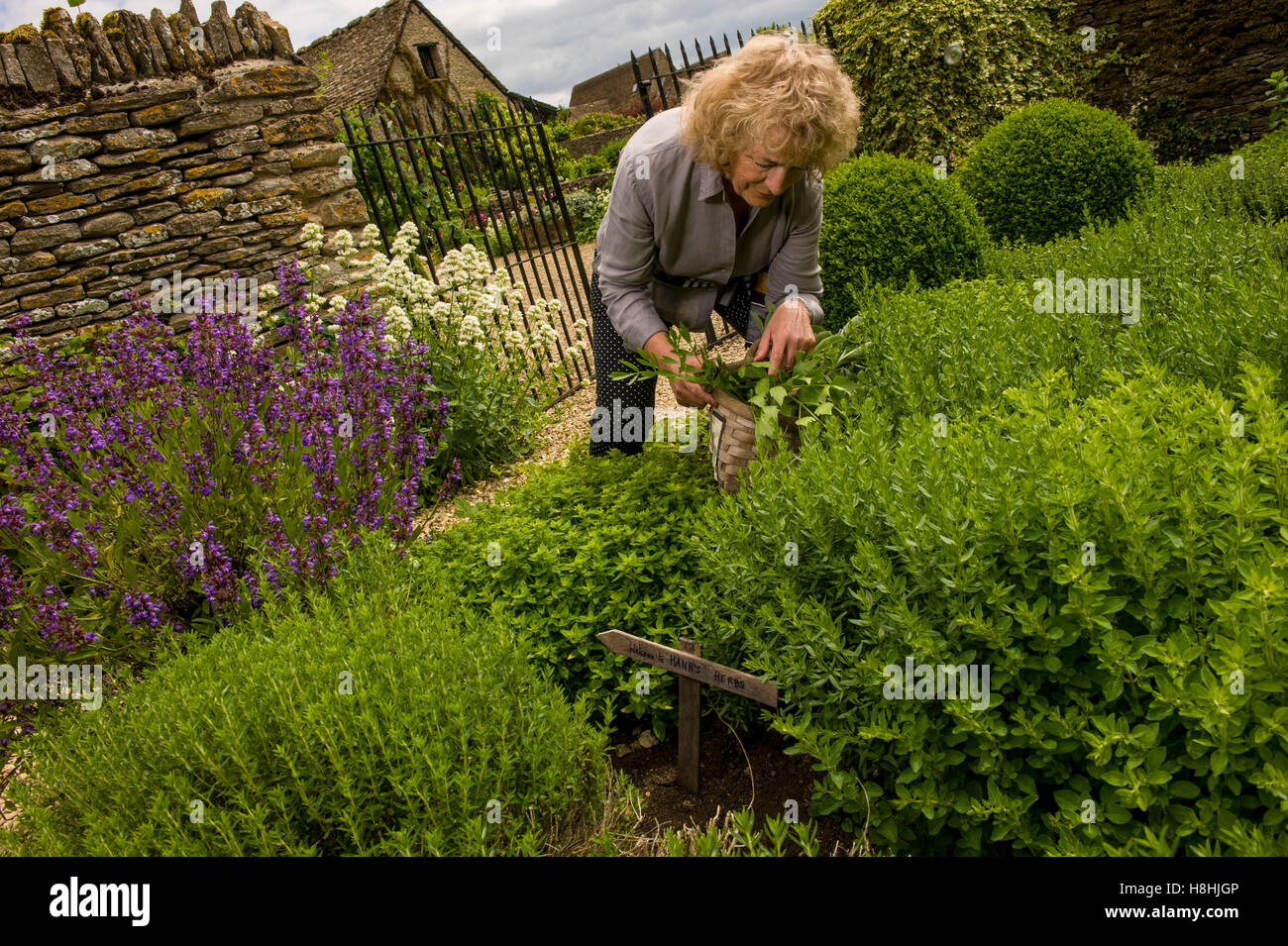 Judith hann ehemaliger tv -Fotos und -Bildmaterial in hoher Auflösung ...