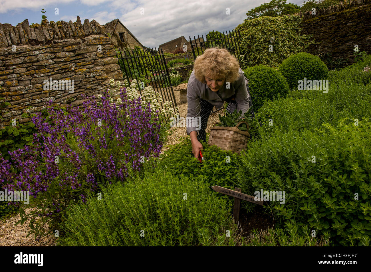 Judith hann ehemaliger tv -Fotos und -Bildmaterial in hoher Auflösung ...