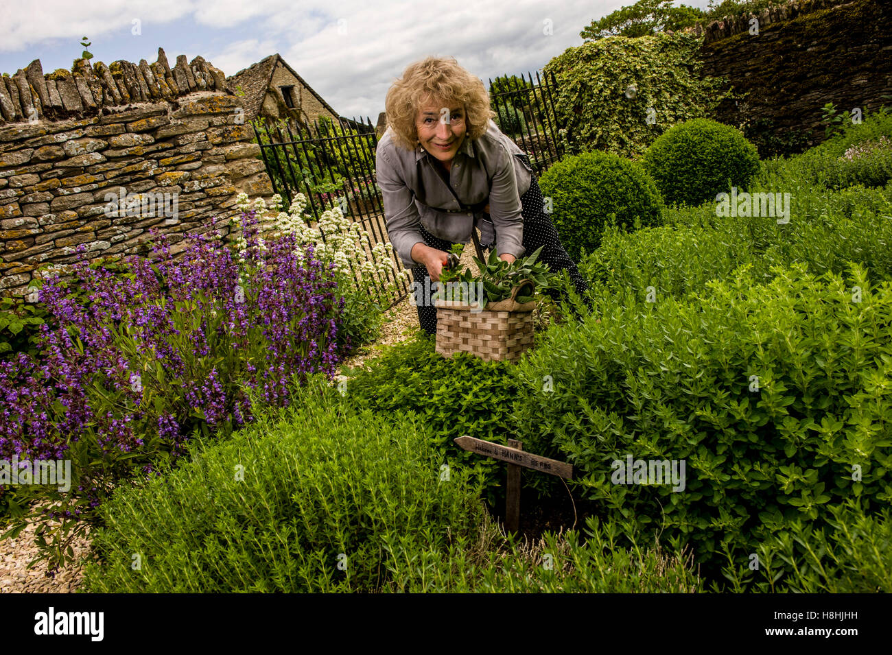 ehemalige TV-Moderatorin Judith Hann Kraut Garten Fyfield ...