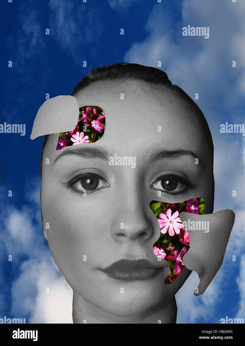 Photoshop farbe -Fotos und -Bildmaterial in hoher Auflösung – Alamy