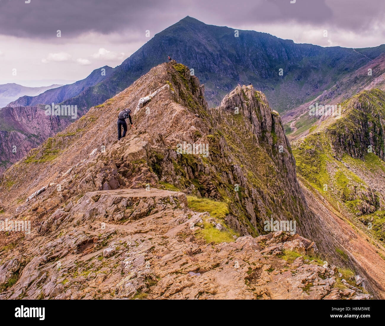 Krippe goch -Fotos und -Bildmaterial in hoher Auflösung – Alamy