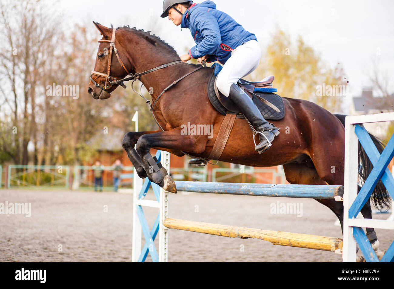 Junge Reiter auf Springturnier. Fahrer mit Sauerampfer Pferd springt ...