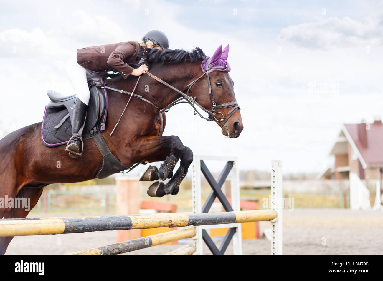 Pferd mädchen reiter zaun springreiten -Fotos und -Bildmaterial in ...