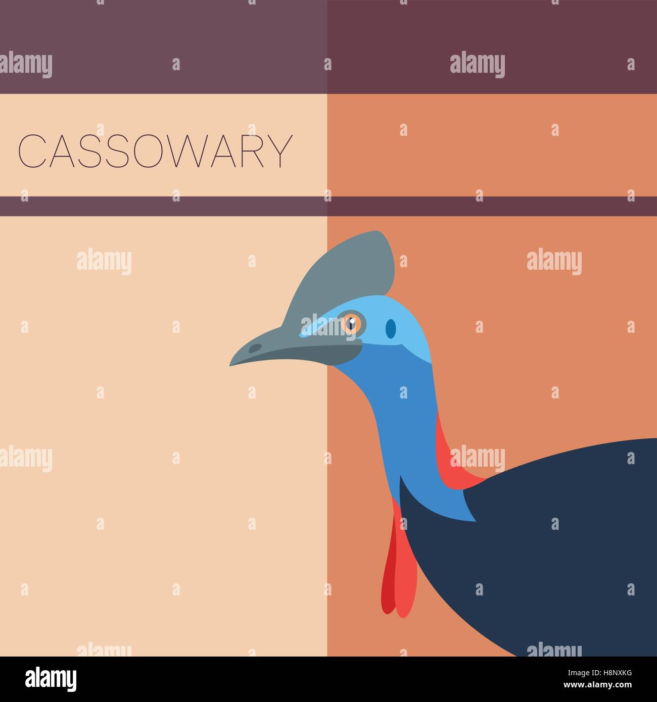 Vektor-Bild der Kasuar flache Postkarte Stock-Vektorgrafik - Alamy