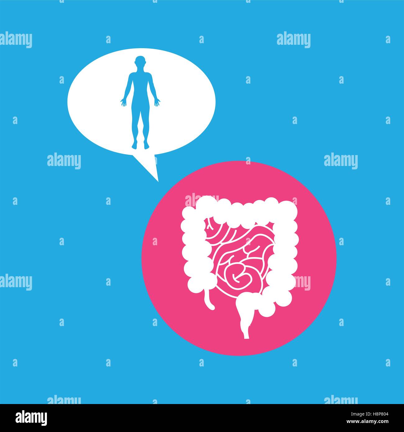 Silhouette Mann Darm Anatomie Körper Vektor Illustration Eps 10 Stock ...