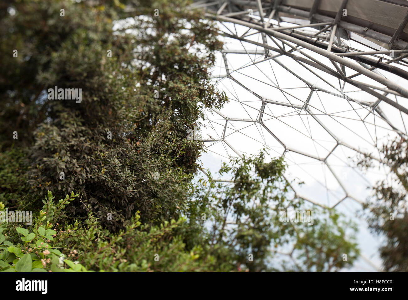 Inside the mediterranean biome at the eden project -Fotos und ...