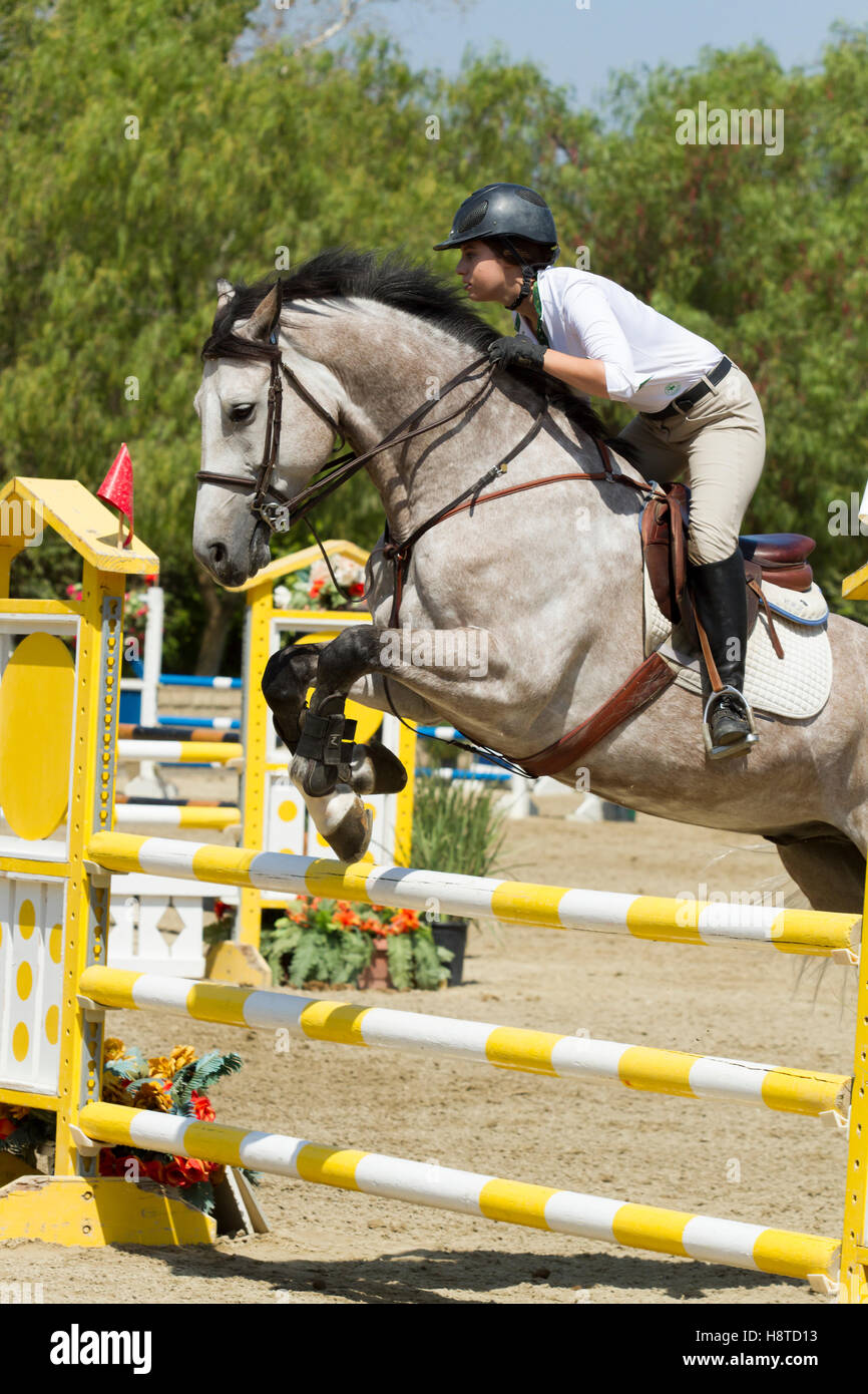 Pferd mit Reiterin über Hürden zu springen Stockfotografie - Alamy