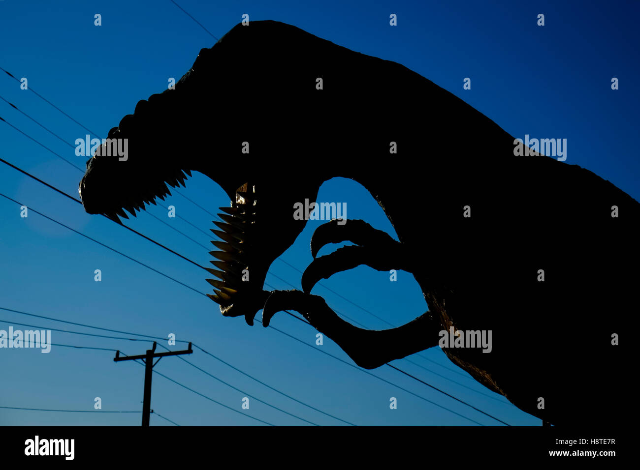 T rex -Fotos und -Bildmaterial in hoher Auflösung – Alamy