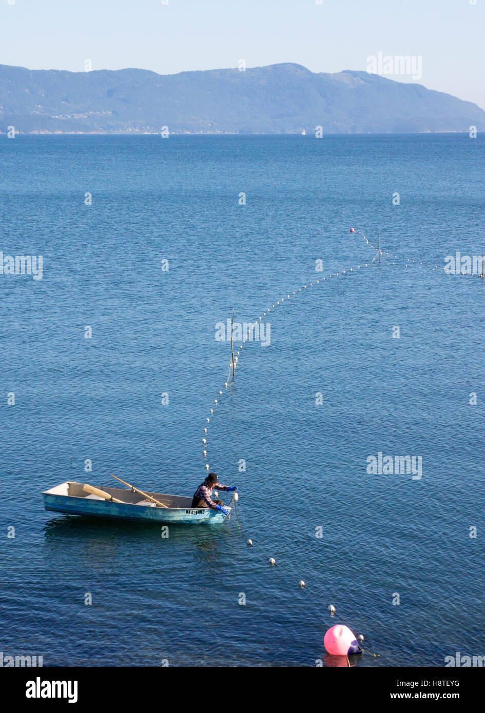 Indische fischindustrie -Fotos und -Bildmaterial in hoher Auflösung – Alamy
