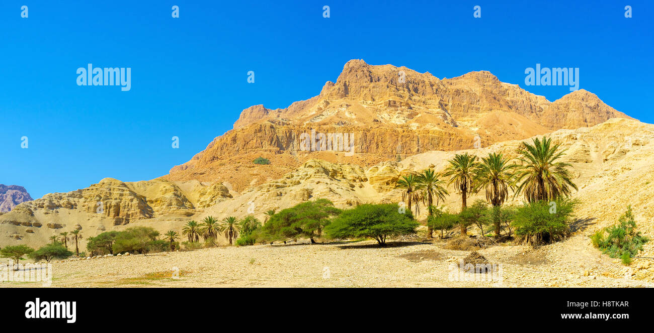 Die Judäische Wüste ist eines der weltweit kleinste, noch die ...