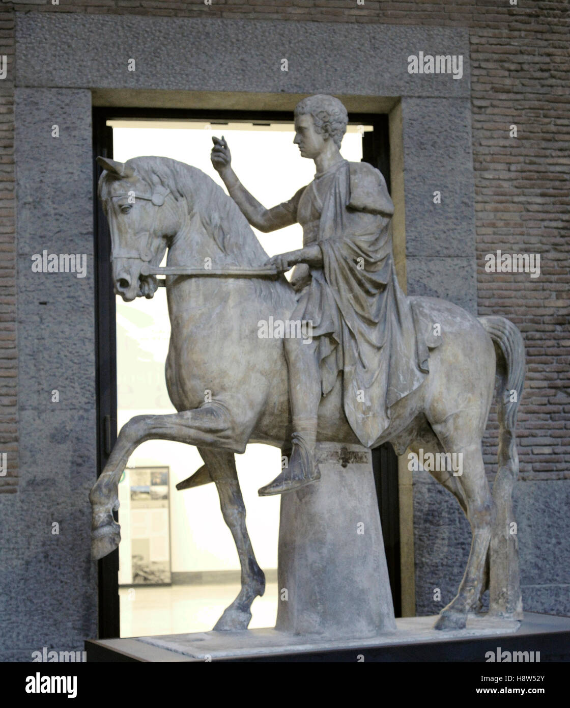 M nonius -Fotos und -Bildmaterial in hoher Auflösung – Alamy