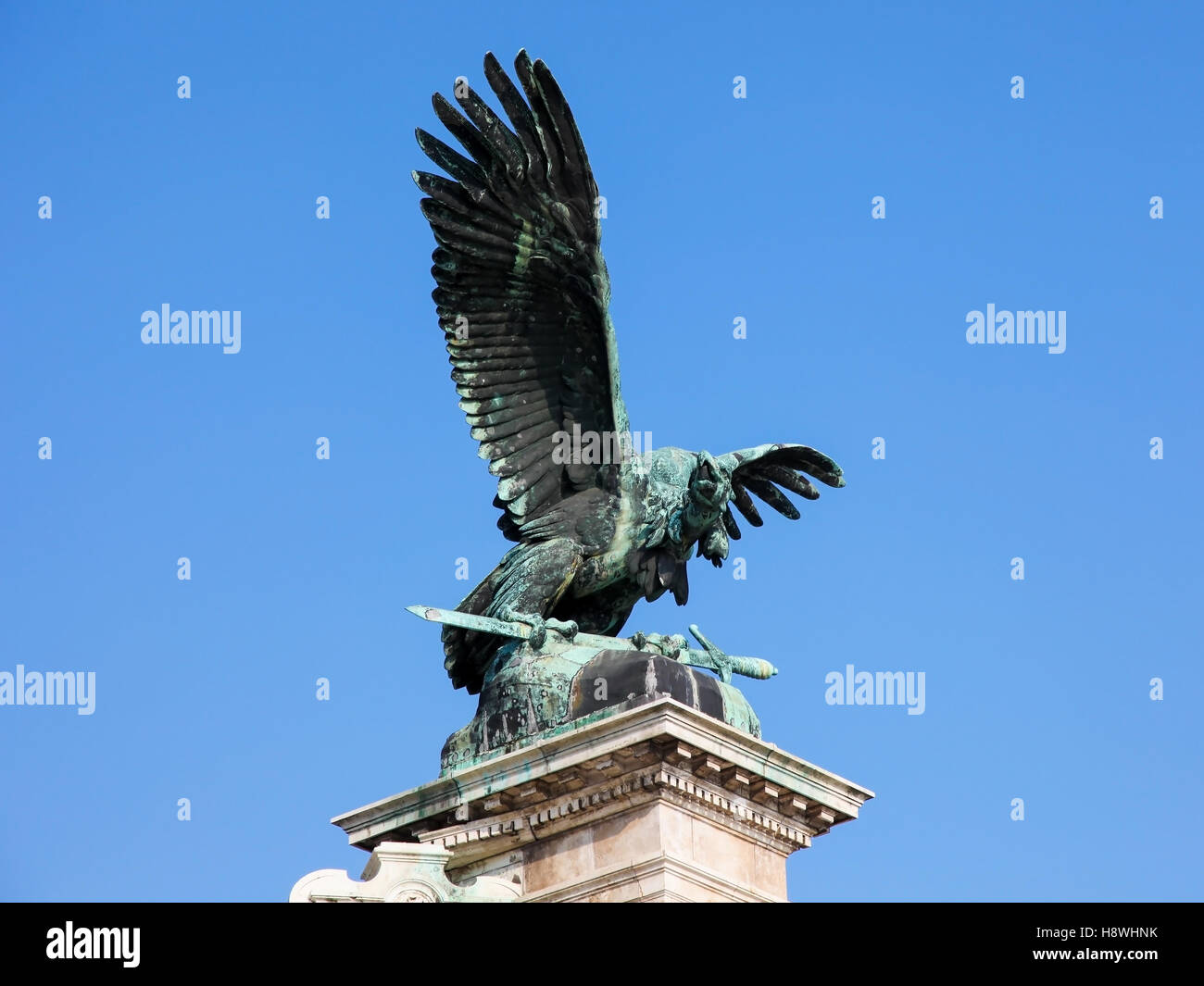 Turul bird as hungarian national bird -Fotos und -Bildmaterial in hoher ...