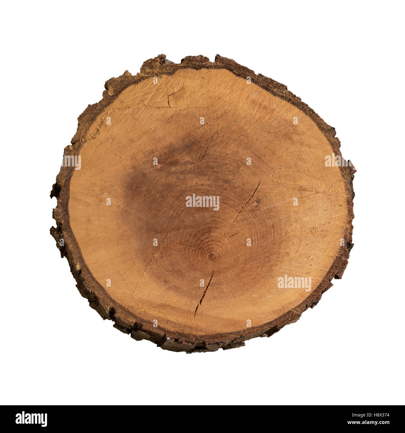 Bild von eine isolierte Stück Holz vom Stamm des Baumes Stockfotografie ...