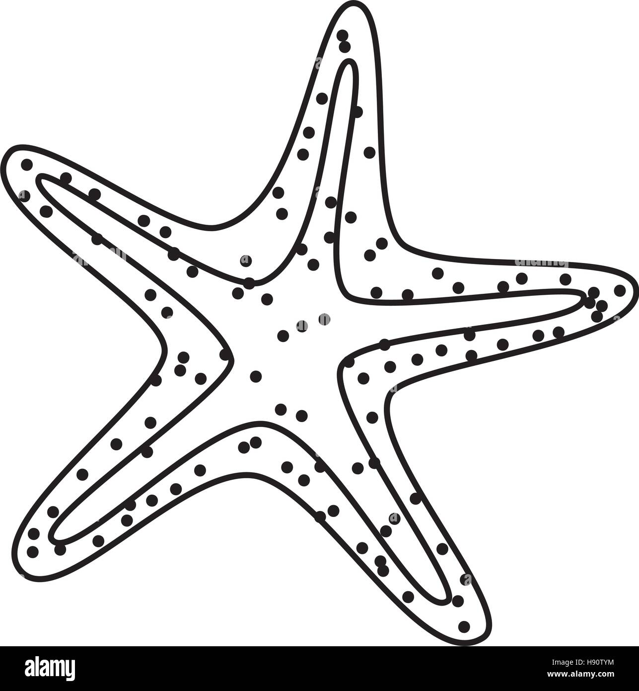 Seestern Vektor Vektoren Schwarzweiß-Stockfotos und -bilder - Alamy