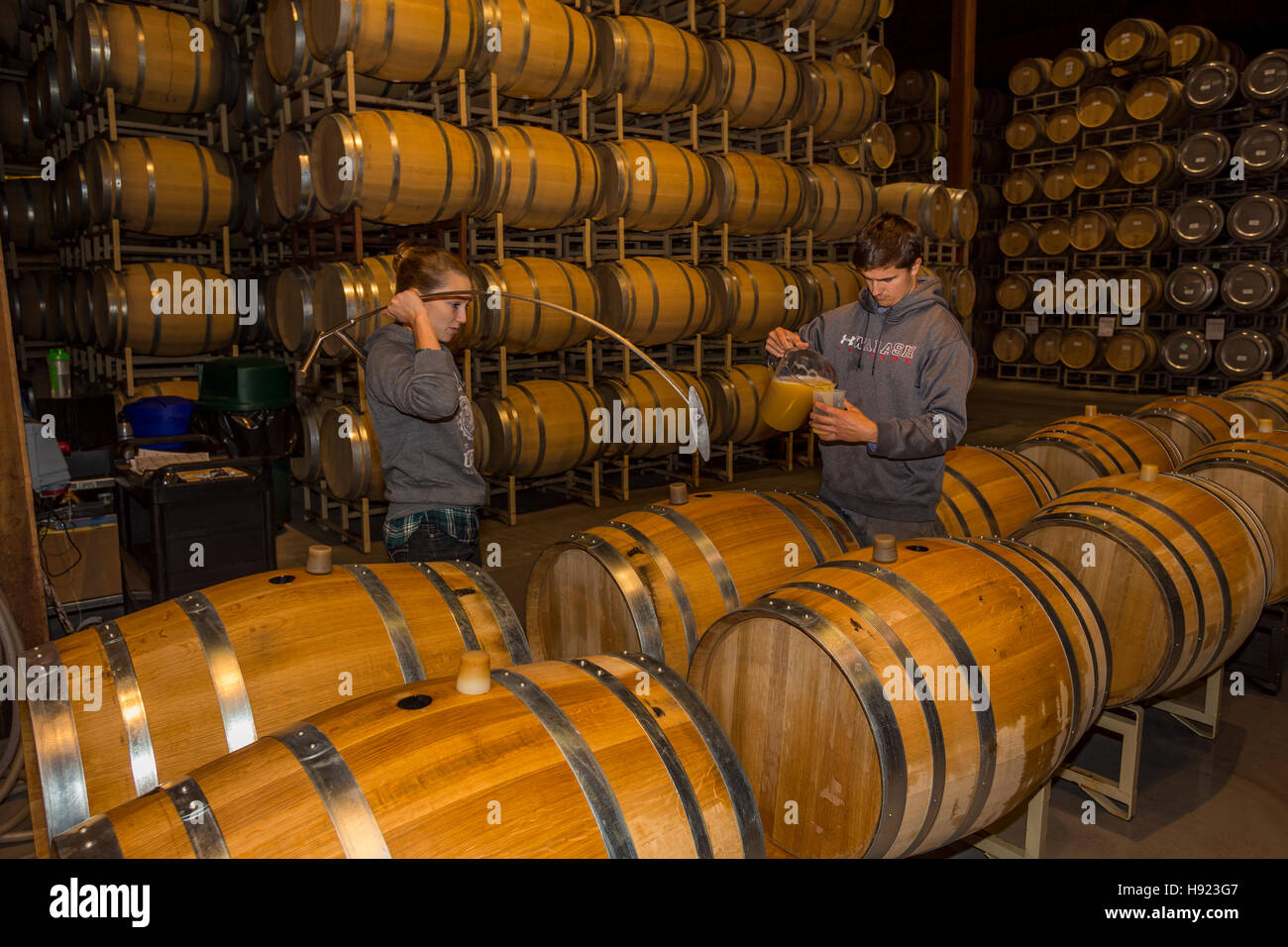 Cellar winery barrel fermentation -Fotos und -Bildmaterial in hoher ...