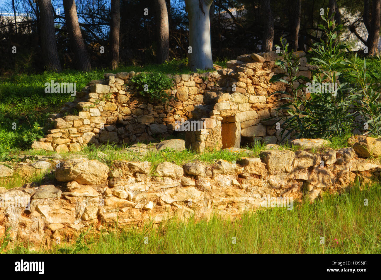 Kaukana, Ruinen der römischen und mittelalterlichen Stadt Santa Croce ...