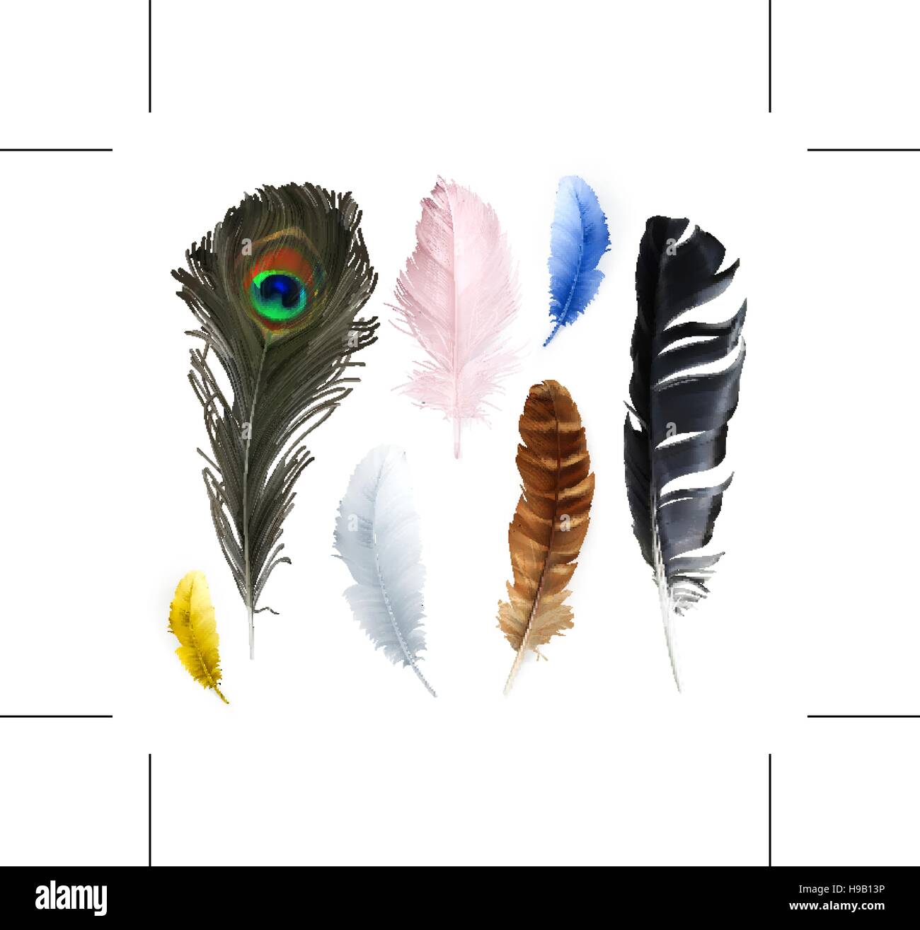 Schwan natur vogel foto Stock-Vektorgrafiken kaufen - Alamy