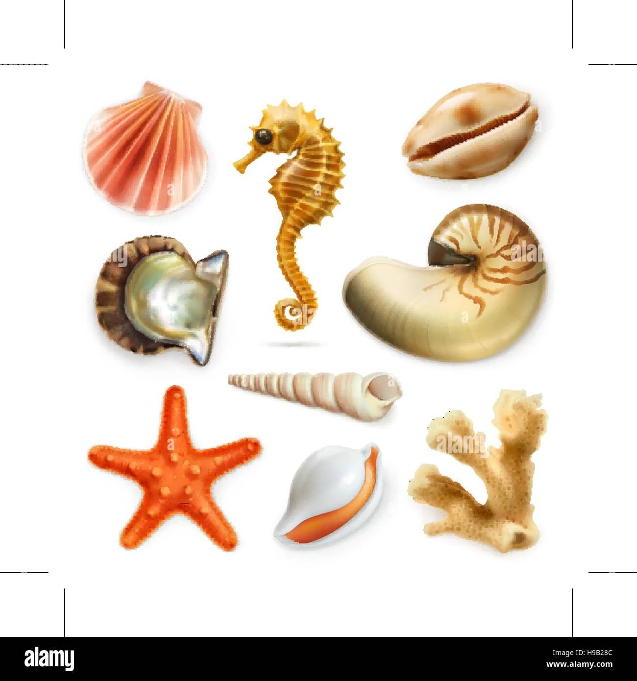 Wilde muschel Stock-Vektorgrafiken kaufen - Alamy