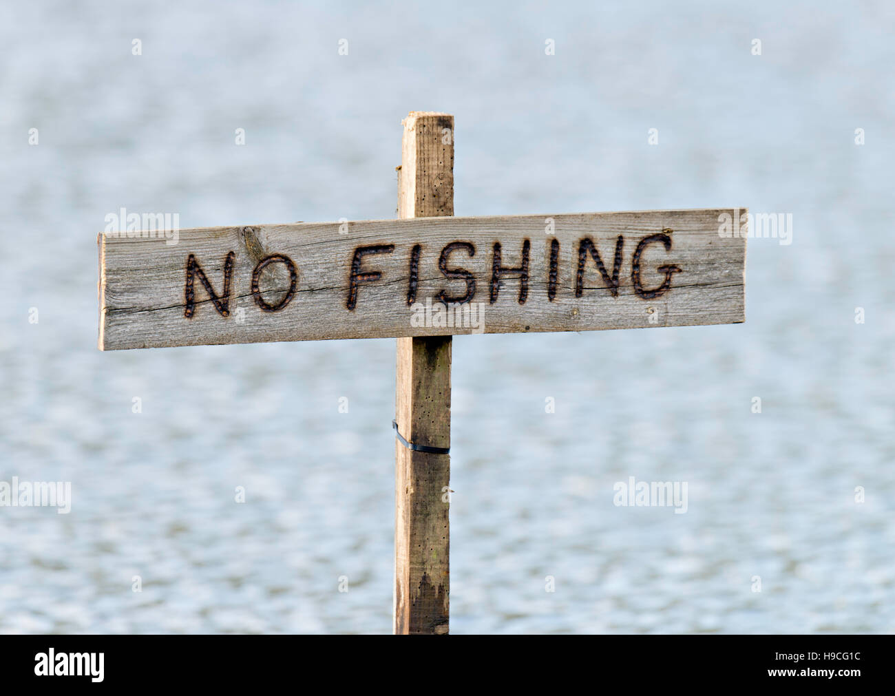 Fisch im verbot -Fotos und -Bildmaterial in hoher Auflösung – Alamy
