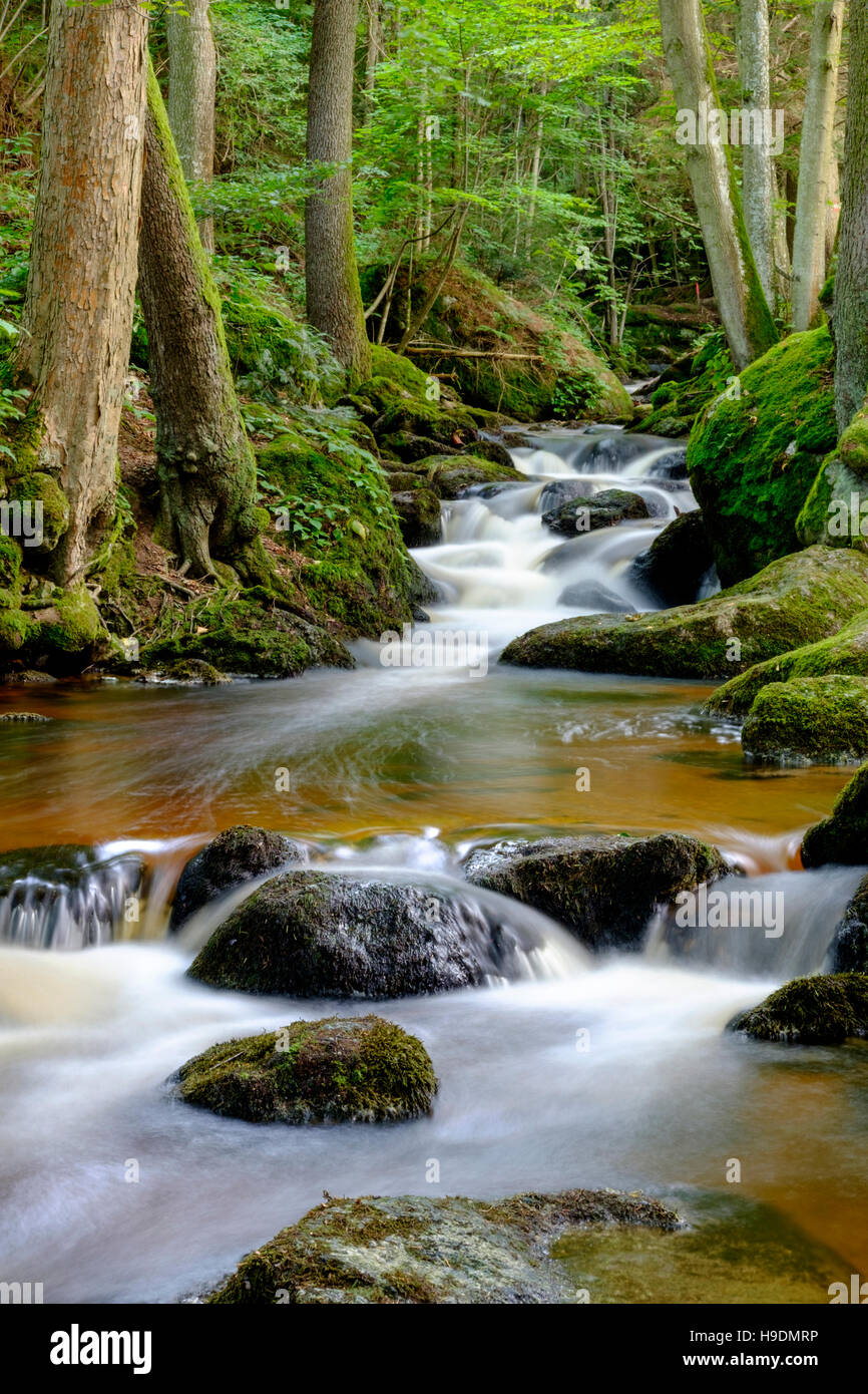 Schlucht, Fluss, Bach, Wasser, Ysperklamm, Waldviertel ...