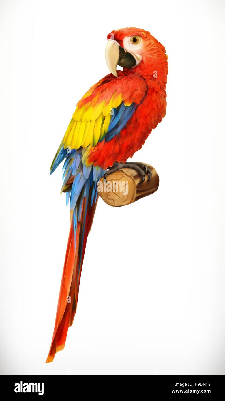 Ara Papagei. ARA. Foto realistisch. 3D Vektor icon Stock-Vektorgrafik ...