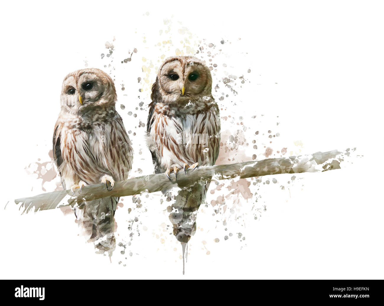 Digitale eulen -Fotos und -Bildmaterial in hoher Auflösung – Alamy