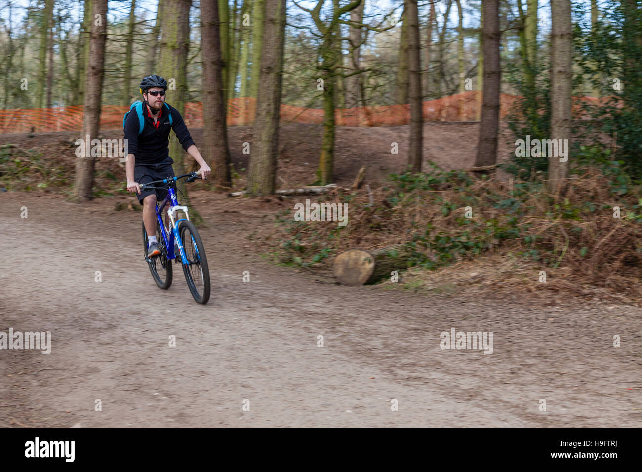 Fahrrad im wald -Fotos und -Bildmaterial in hoher Auflösung – Alamy
