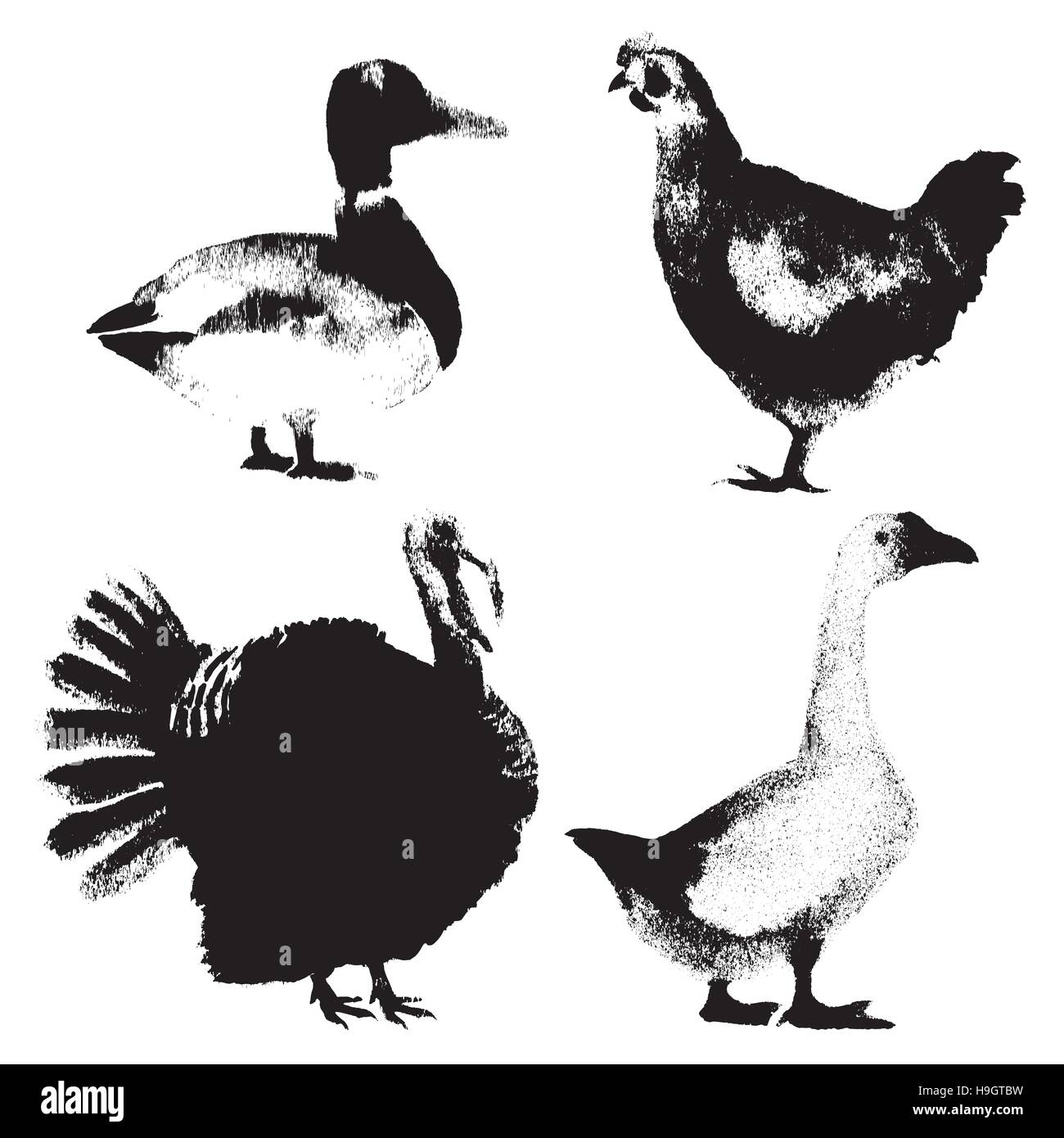 Zeichnung schwarz weiss vektor gans -Fotos und -Bildmaterial in hoher ...