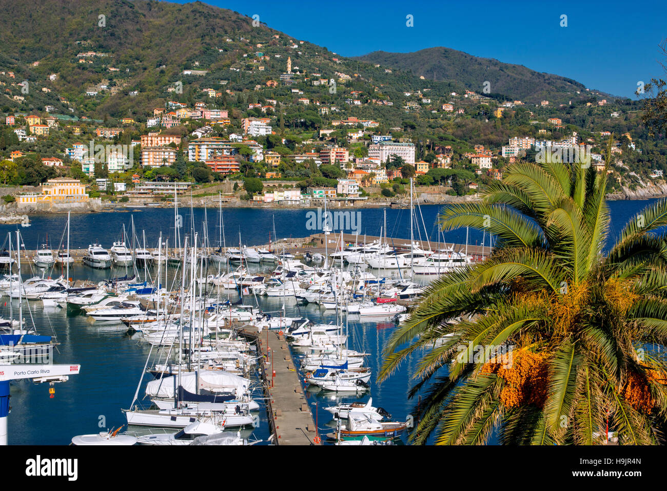Der Hafen von Rapallo, Italien Stockfotografie - Alamy