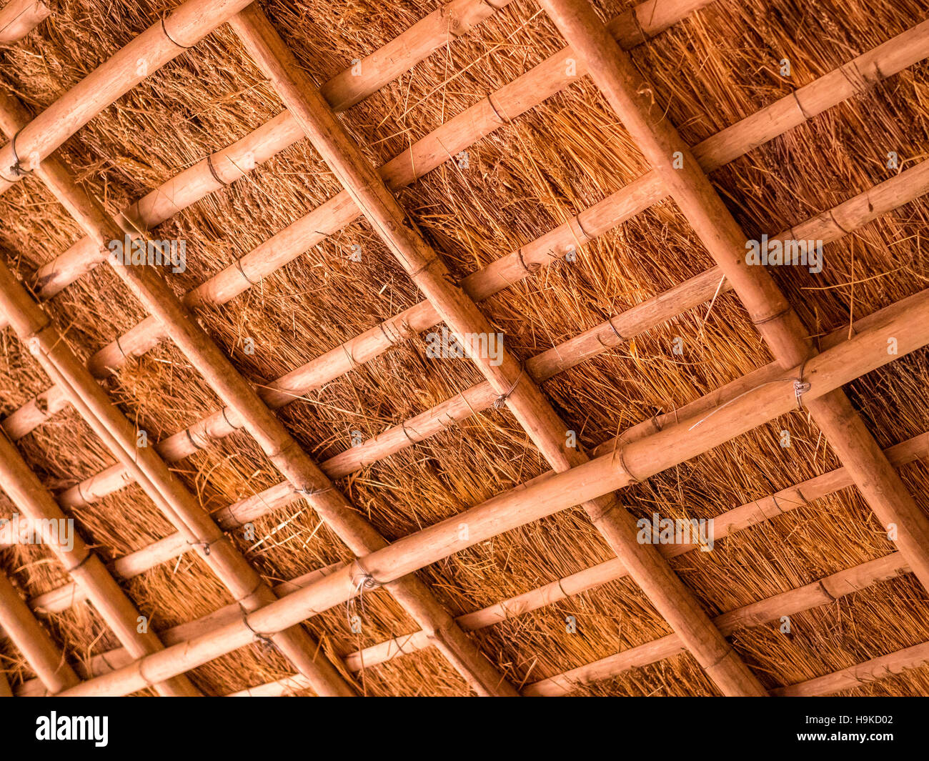 Strohgedeckte textur -Fotos und -Bildmaterial in hoher Auflösung – Alamy