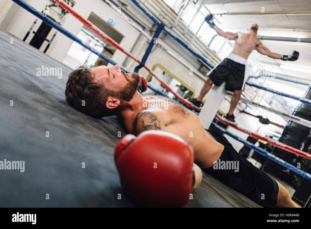 Knocked Out Boxer Stockfotos und -bilder Kaufen - Alamy