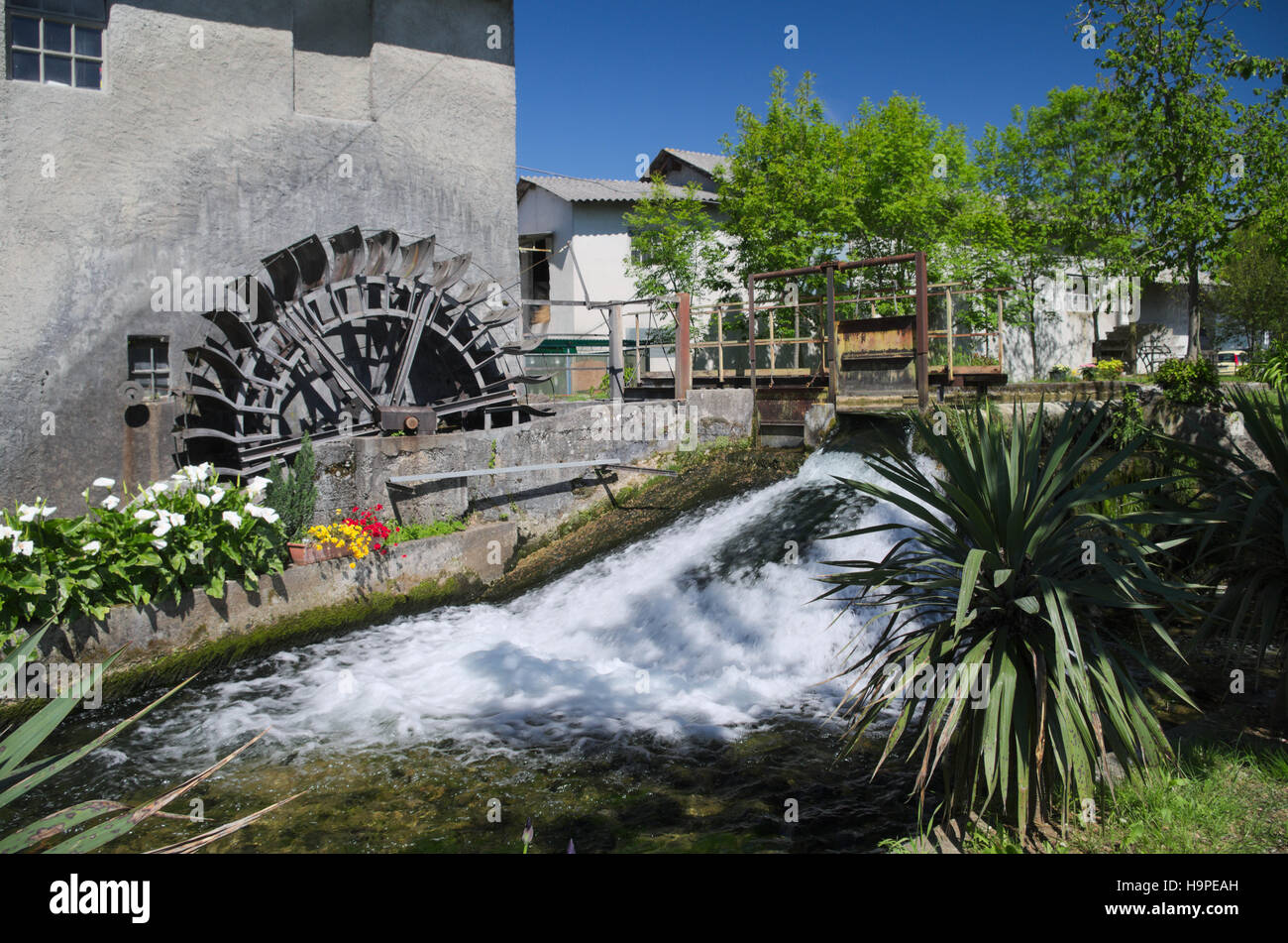 Reana del rojale -Fotos und -Bildmaterial in hoher Auflösung – Alamy