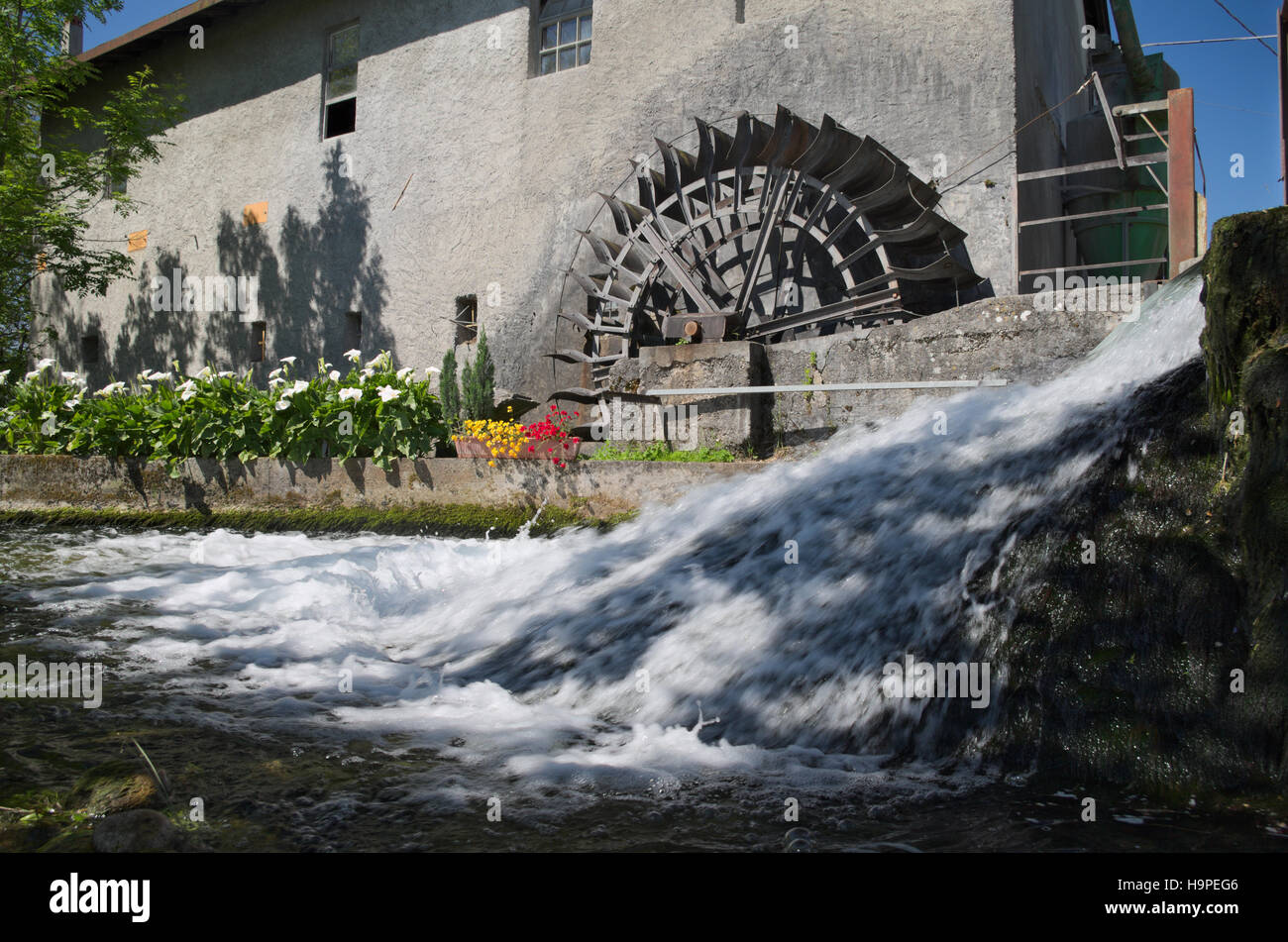 Reana del rojale -Fotos und -Bildmaterial in hoher Auflösung – Alamy