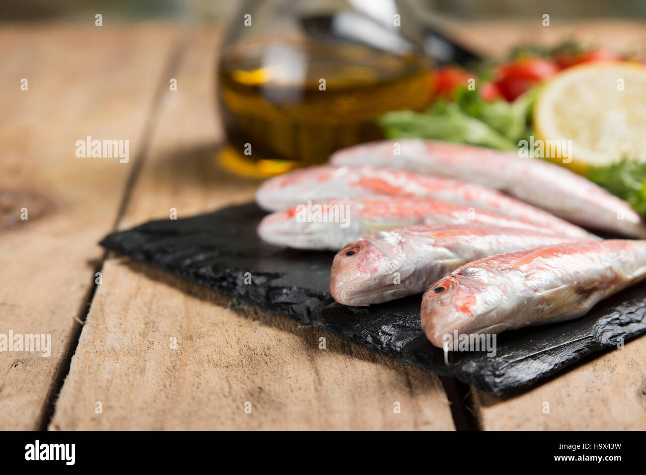 Gestreifte rotbarbe -Fotos und -Bildmaterial in hoher Auflösung – Alamy