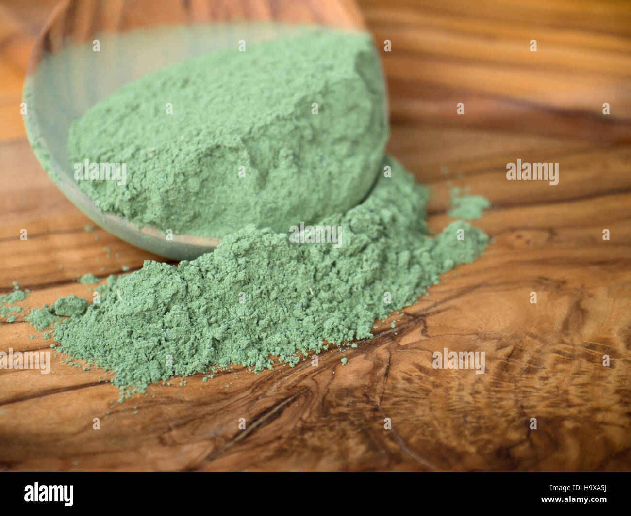 Pflanze indigofera tinctoria -Fotos und -Bildmaterial in hoher ...