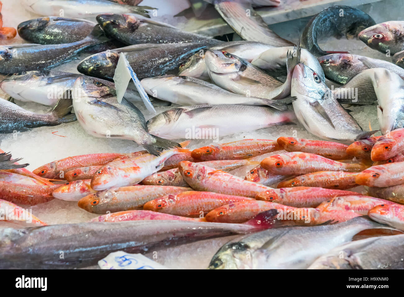 Frischen Fisch auf dem Vucciria Markt in Palermo, Sizilien ...