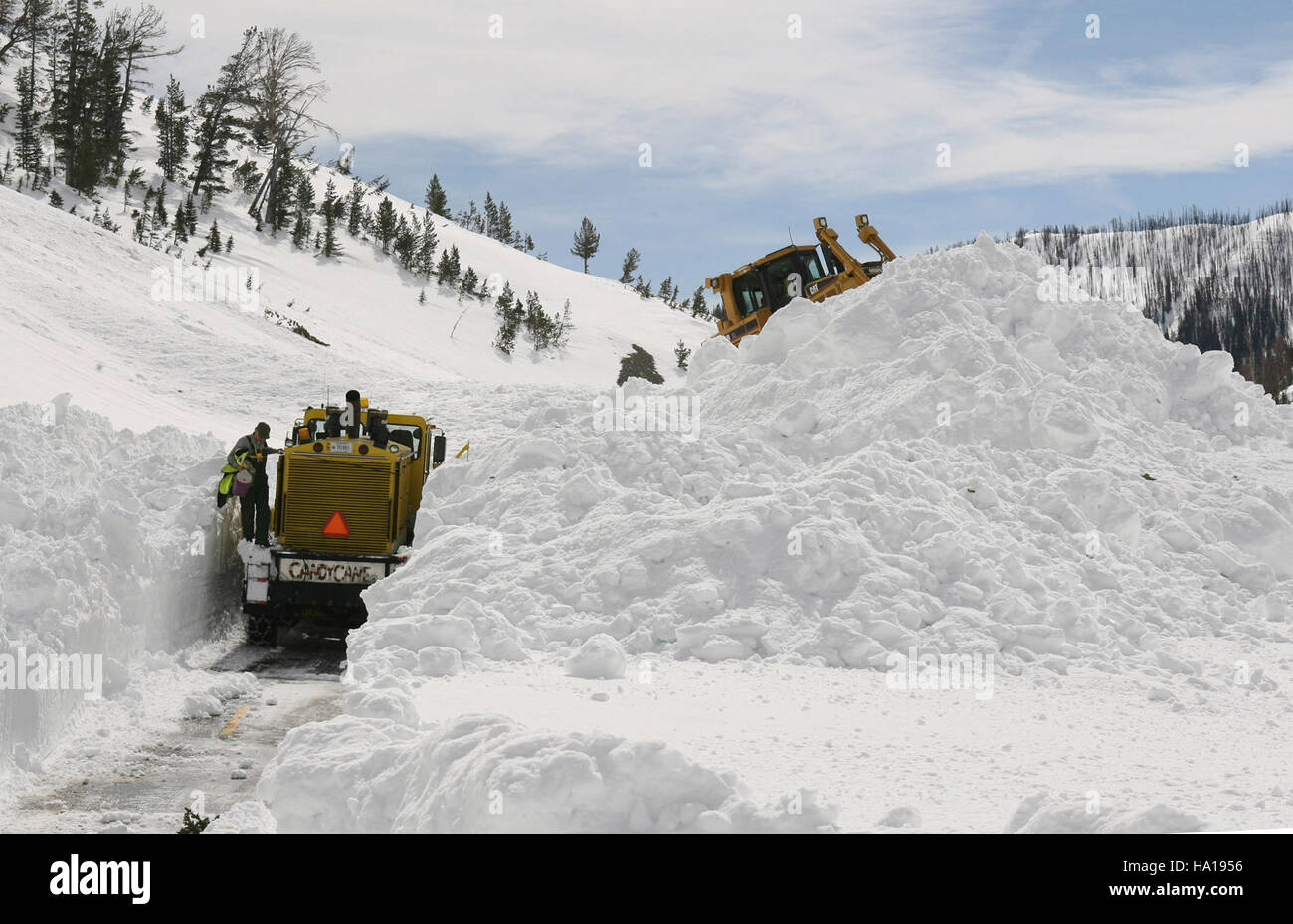 Die Eröffnung des Sylvan Pass im Yellowstone National Park ist ein ...