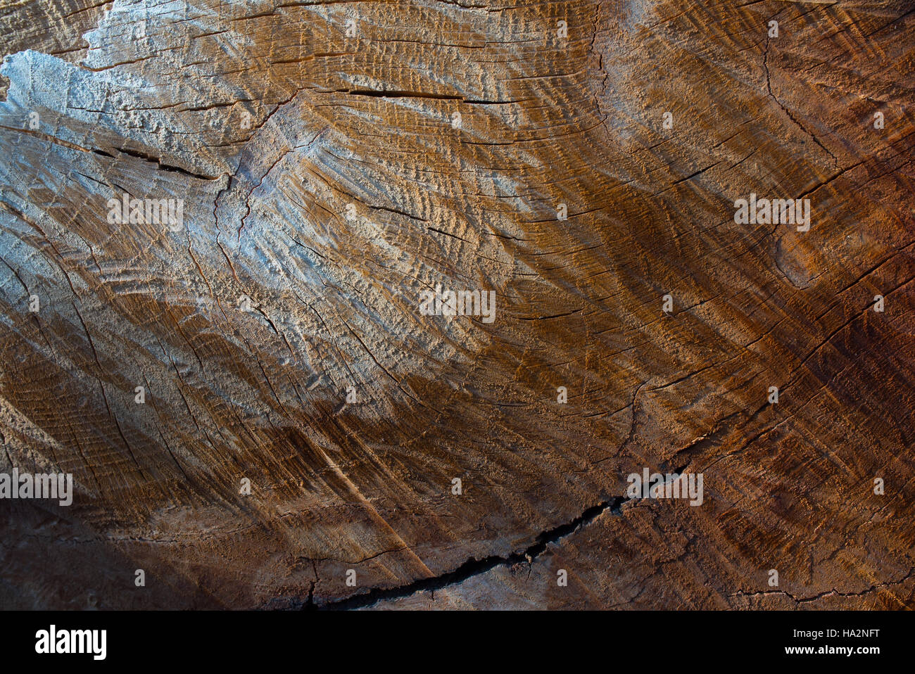 Das stumpfkreuz -Fotos und -Bildmaterial in hoher Auflösung – Alamy