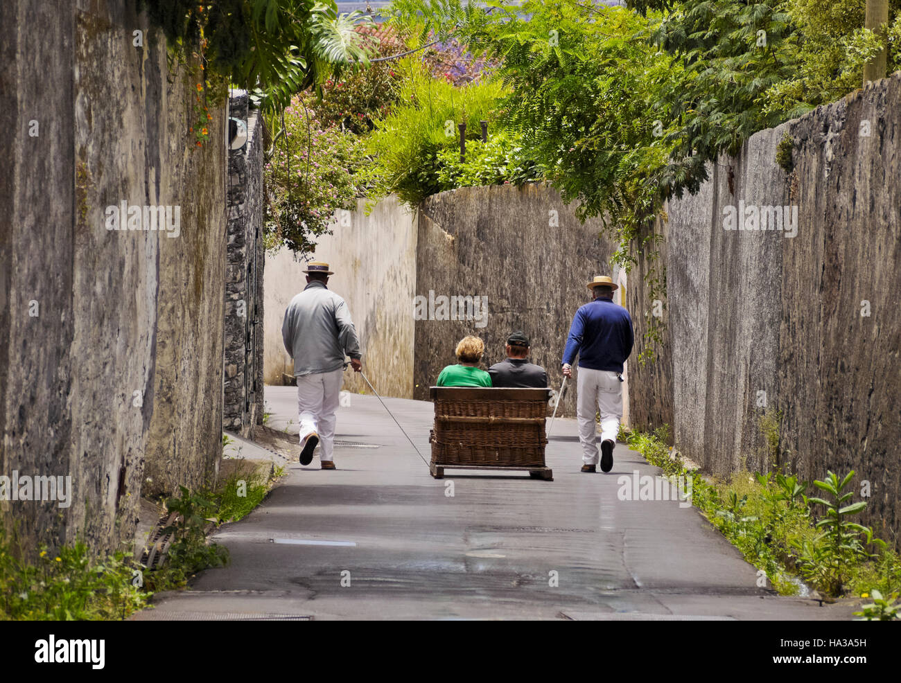 Monte Funchal Wicker Toboggan Madeira Portugal Stockfotos und -bilder ...